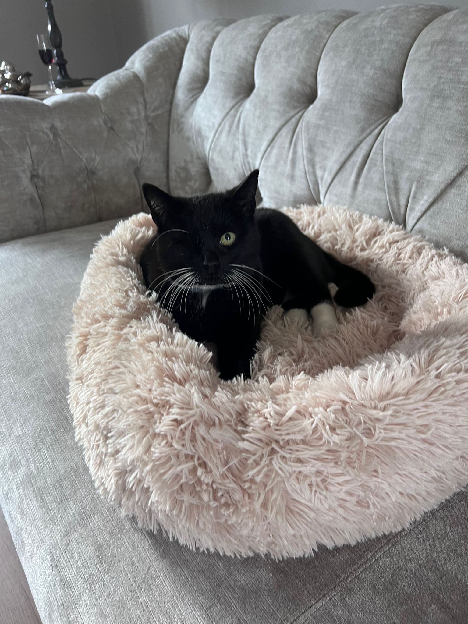 Kattenmand Fluffy Donut Beige 60cm - Poewz.