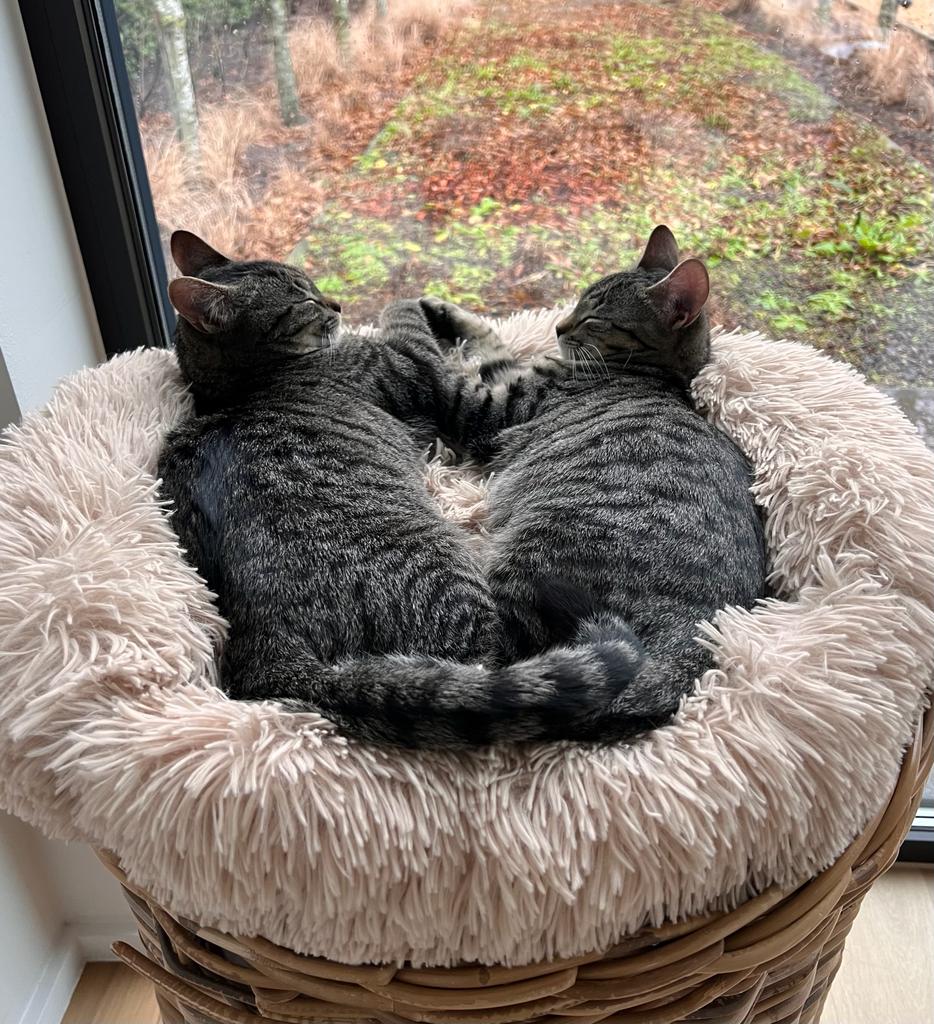 Kattenmand Fluffy Donut Beige 80cm - Poewz.